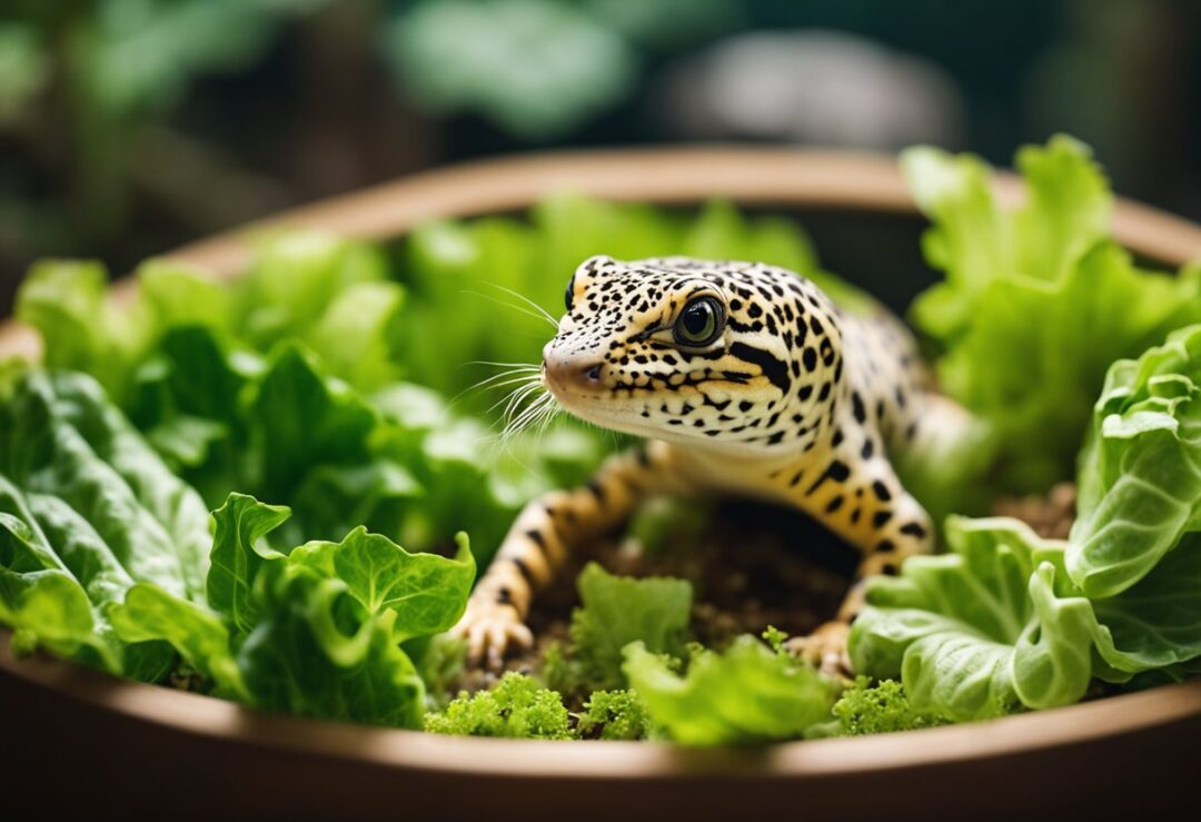 Can Leopard Geckos Eat Lettuce? | A Comprehensive Guide