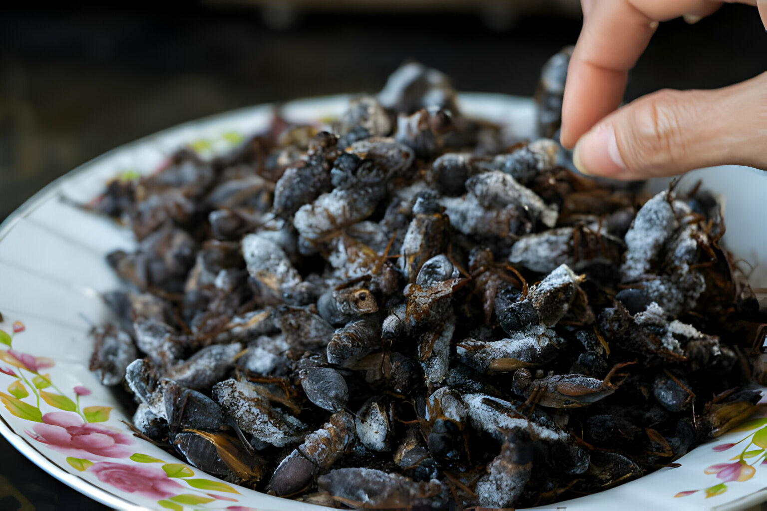 Can Leopard Geckos Eat Freeze Dried Crickets?